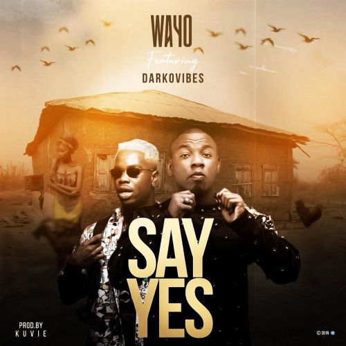 Download MP3: Wayo – Say Yes Ft Darkovibes (Prod. by Kuvie)