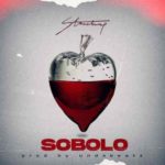 LYRICS: Stonebwoy – Sobolo | Check It Out On Halmblog.com