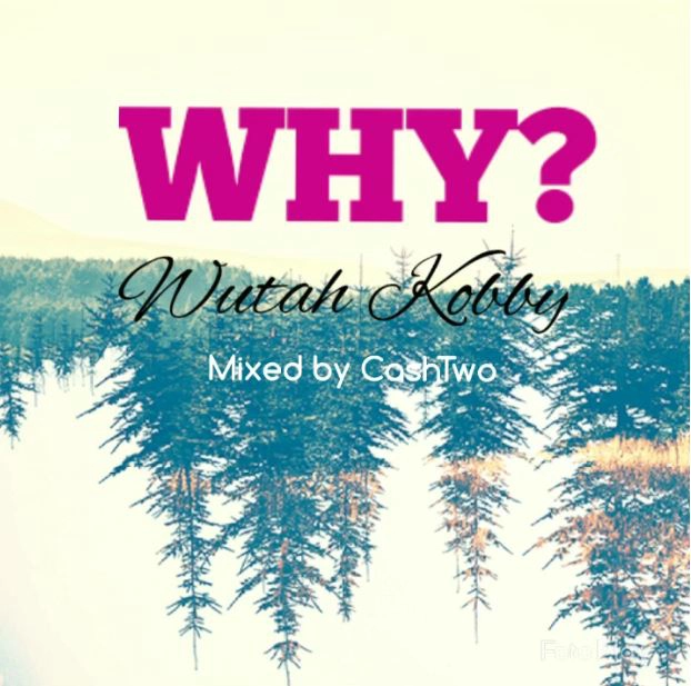 Download MP3: Wutah Kobby – Why (Prod. by CashTwo) | Halmblog.com