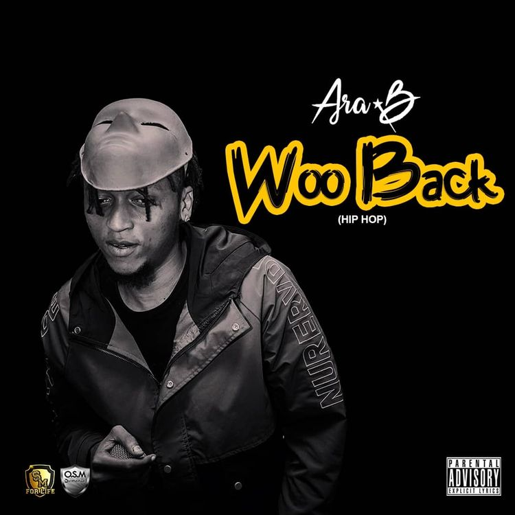 Download MP3: Woo Back by Ara-B | Halmblog.com