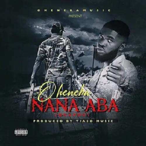 Download MP3: Nana Aba by Oheneba | Halmblog.com