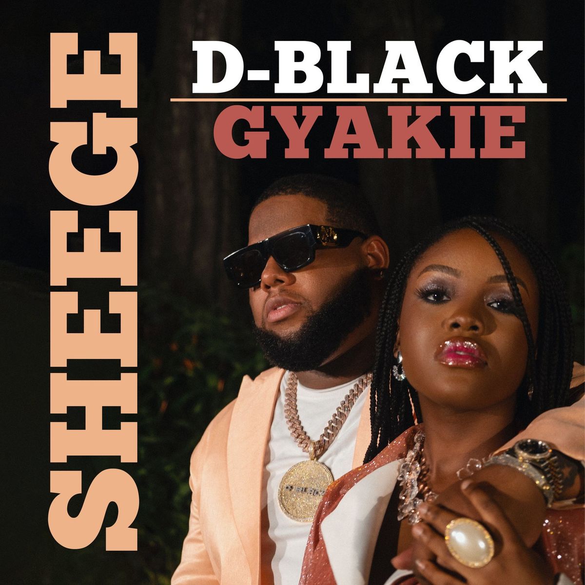 Download MP3: Sheege by D-Black Ft Gyakie | Halmblog.com