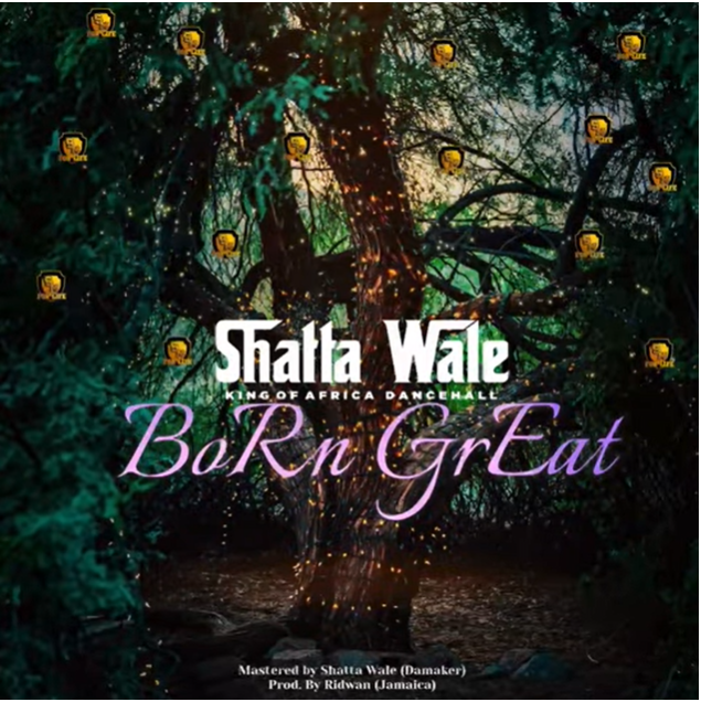 Download MP3: Born Great by Shatta Wale | Halmblog.com