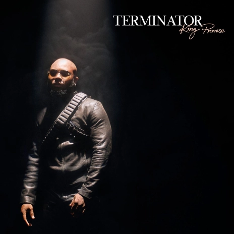 Download MP3: Terminator by King Promise | Halmblog.com