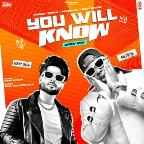 Download MP3: You Will Know by Nobby Singh Ft Medikal (Afro Mix ...