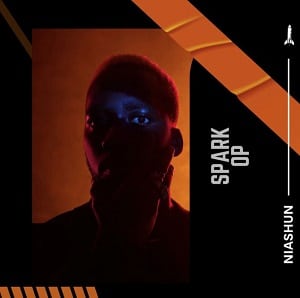 Infectious Grooves and Uplifting Messages in Niashun's 'Spark Op