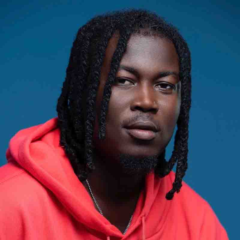 Download MP3: Fine by Wisa Greid | Halmblog.com