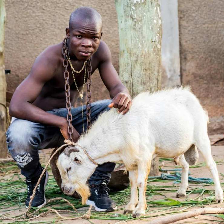 Download MP3: AY Poyoo – Goat (Aponkye) | Halmblog.com