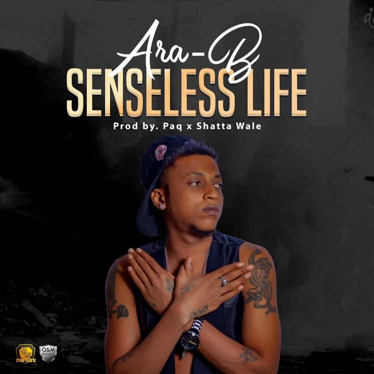 Download MP3: Ara-B - Senseless Life (Prod. by Paq x Shatta Wale ...