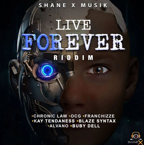 Download MP3: Work Hard by Chronic Law | Halmblog.com