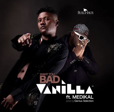 Download MP3: Want You Bad by Vanilla Ft Medikal | Halmblog.com