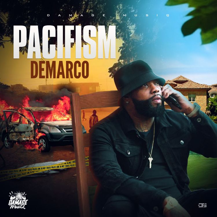 Download MP3: Pacifism by Demarco | Halmblog.com