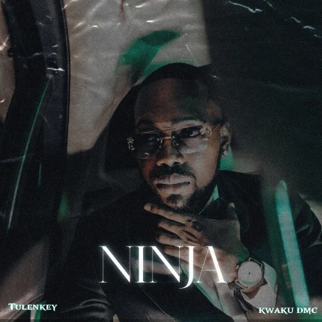 Download MP3: Ninja by Tulenkey Ft Kwaku DMC | Halmblog.com
