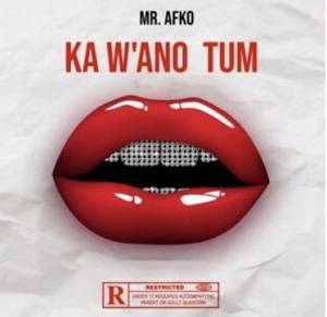 Download MP3: Ka W’ano by Mr. Afko