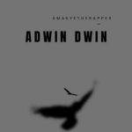 Download MP3: Adwin Dwin by AmakyeTheRapper
