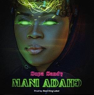 Download MP3: Mani Adahɔ by Supa Sandy
