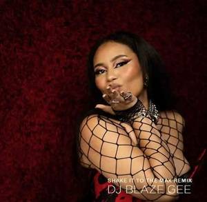 Download MP3: Shake It To The Max Remix by DJ Blaze Gee