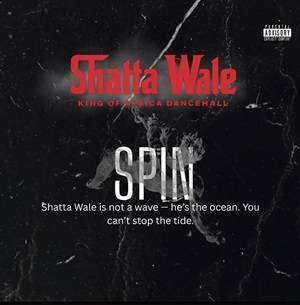 Download MP3: Spin by Shatta Wale